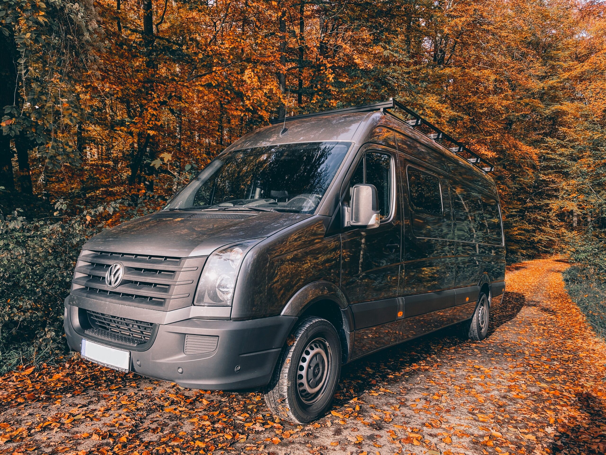 #1029 - Toni - Vans of Germany