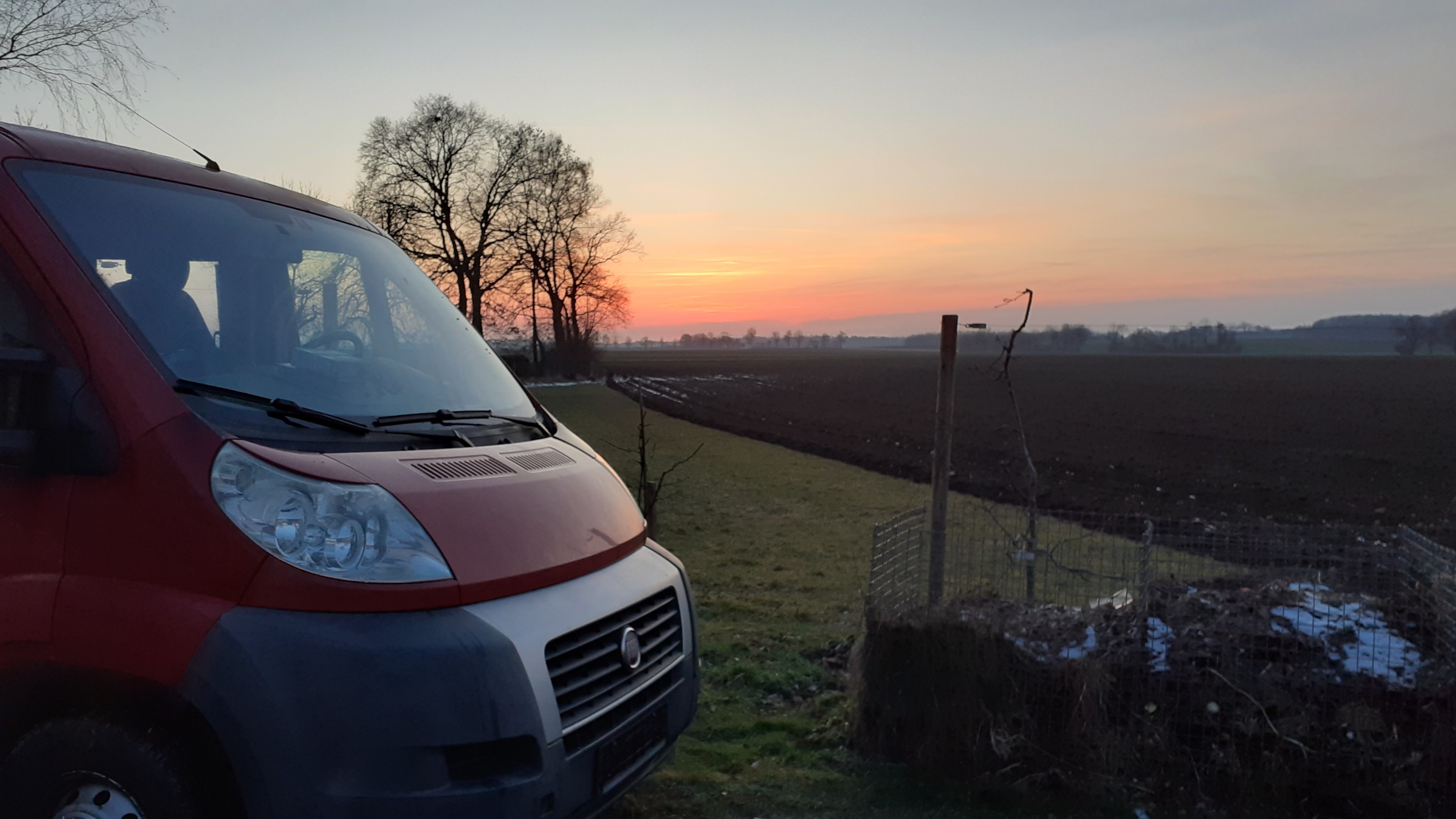 #1666 - Goldii - Vans of Germany 🚐